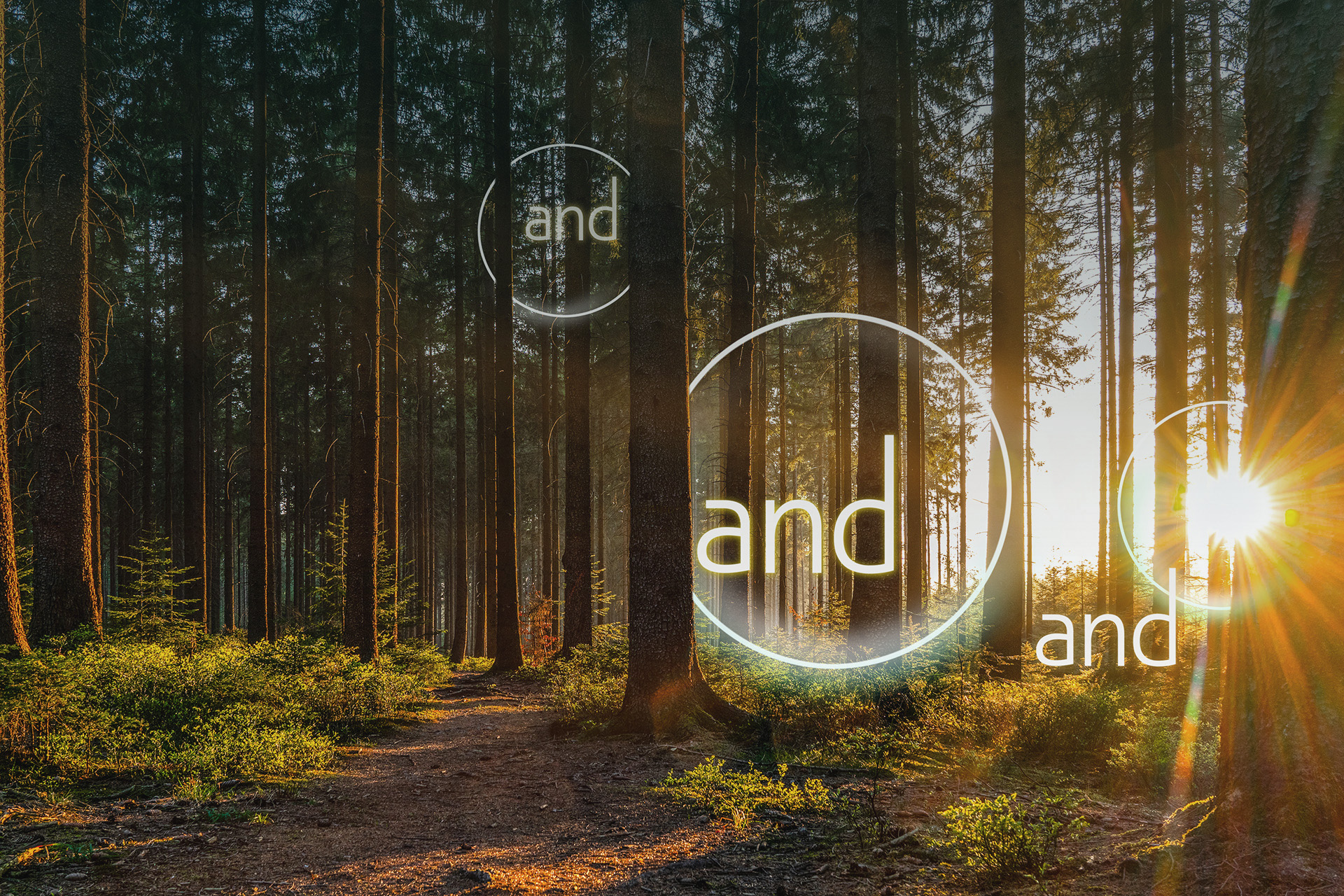 A carbon removing solution Standard Gas - Transition to Net Zero